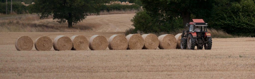 FJ Dynamics Auto Steer | TISCA